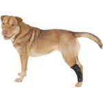 AGON Rear Hock Long Leg Dog Brace, Large - Chewy.com