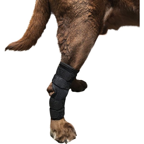 AGON Front Leg Brace & Wound Protection Paw Compression & Wrap for Dogs ...