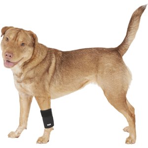 AGON Front Leg Brace & Wound Protection Paw Compression & Wrap for Dogs ...
