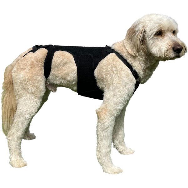 LABRA IVDD, Spine Injury & Arthritis Dog Back Brace, Medium - Chewy.com
