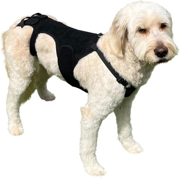 LABRA IVDD, Spine Injury & Arthritis Dog Back Brace, Medium - Chewy.com