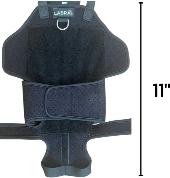 LABRA IVDD, Spine Injury & Arthritis Dog Back Brace, Small - Chewy.com