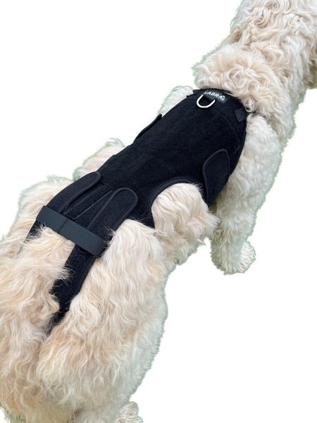 LABRA IVDD, Spine Injury & Arthritis Dog Back Brace, X-Large - Chewy.com
