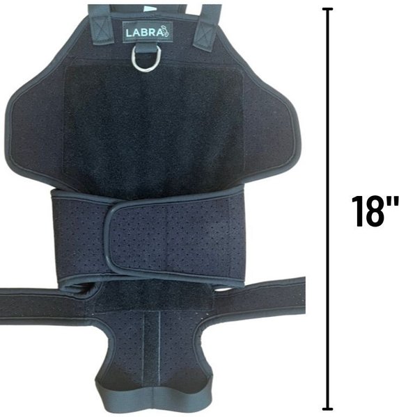 LABRA IVDD, Spine Injury & Arthritis Dog Back Brace, X-Large - Chewy.com