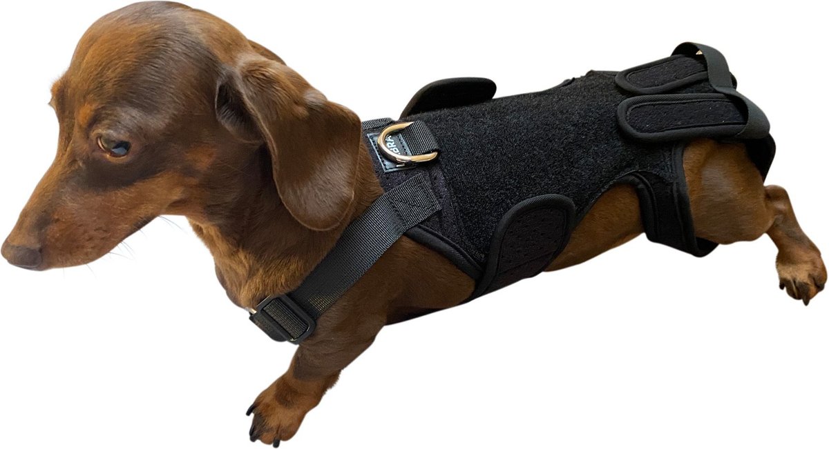 LABRA IVDD, Spine Injury & Arthritis Dog Back Brace, X-Small - Chewy.com