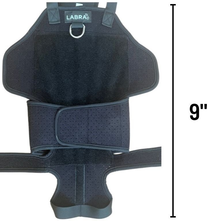 LABRA IVDD, Spine Injury & Arthritis Dog Back Brace, X-Small - Chewy.com