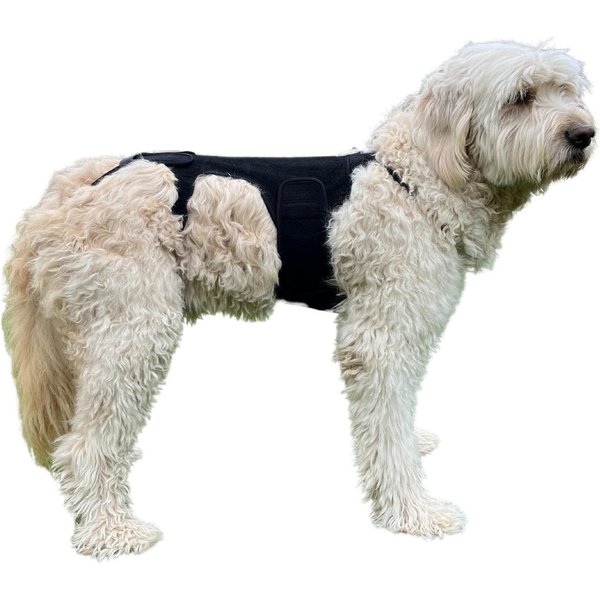 LABRA IVDD, Spine Injury & Arthritis Dog Back Brace, XX-Large - Chewy.com