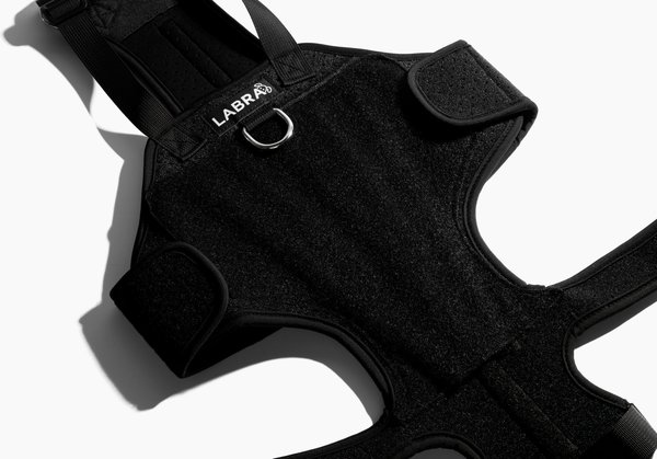 LABRA IVDD, Spine Injury & Arthritis Dog Back Brace, XX-Large - Chewy.com