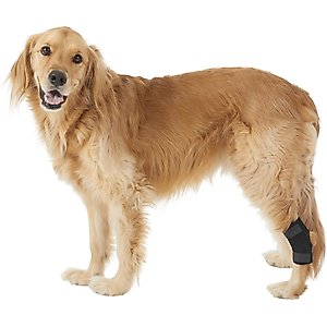 AGON Rear Hock Long Leg Dog Brace, Large - Chewy.com