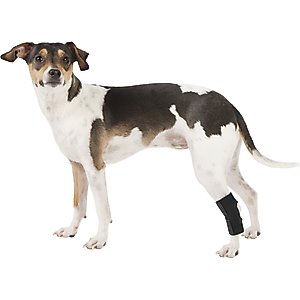 LABRA Lightweight Dog Hock Brace, Small - Chewy.com