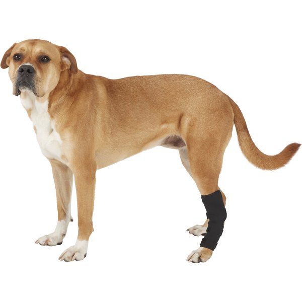 AGON Front Leg Brace & Wound Protection Paw Compression & Wrap for Dogs ...