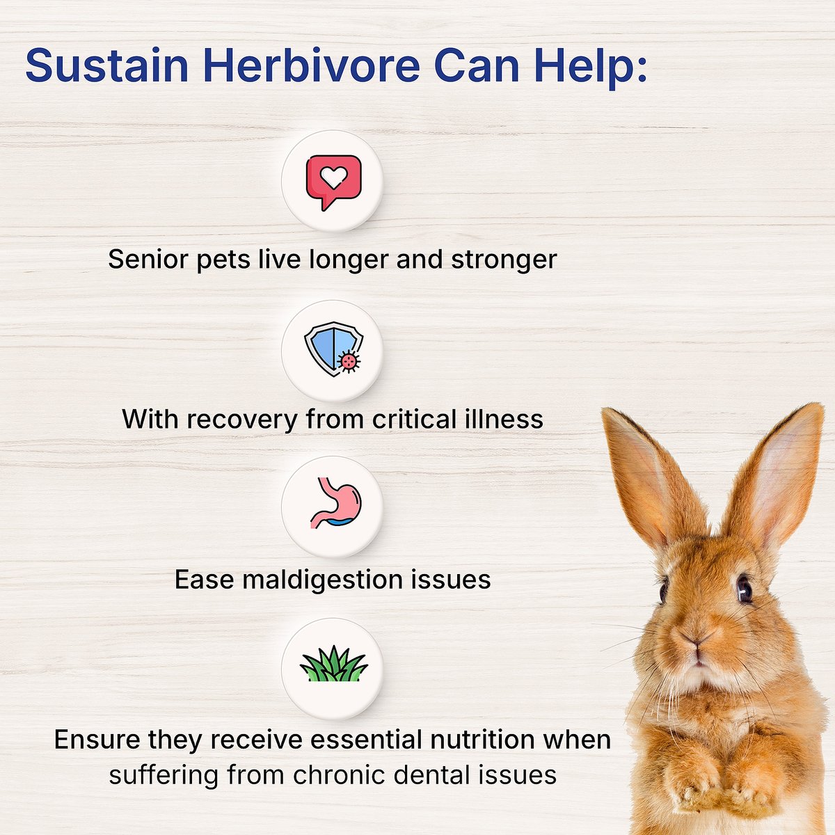 LAFEBER EmerAid Sustain Herbivore Mint Recovery Food, 100-gram bag ...