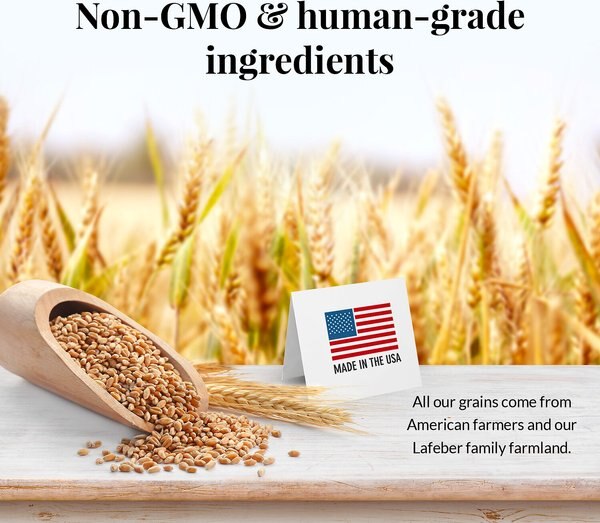 LAFEBER Premium Daily Diet Canary Bird Food, 5-lb bucket - Chewy.com