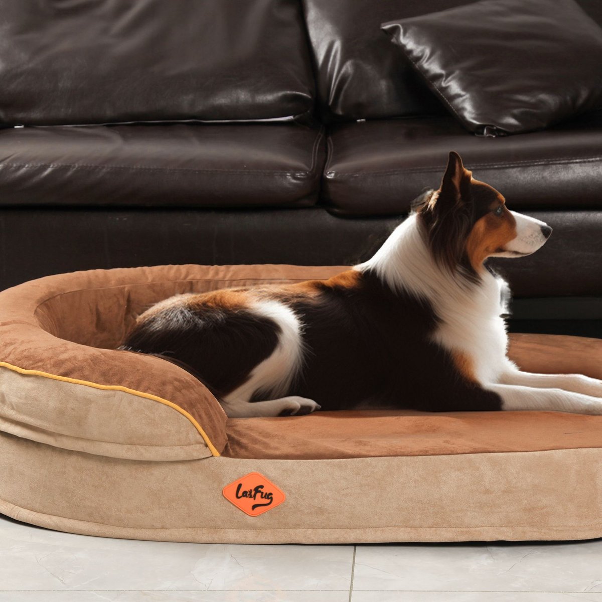 LAIFUG Memory Foam Orthopedic Oval Dog Bed, Chocolate, Medium - Chewy.com