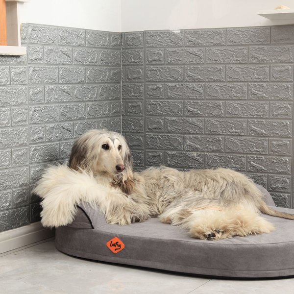 LAIFUG Memory Foam Orthopedic Oval Dog Bed, Dark Gray, Large - Chewy.com