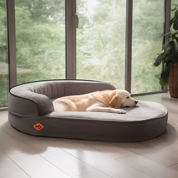 LAIFUG Memory Foam Orthopedic Oval Dog Bed, Dark Gray, X-Large - Chewy.com