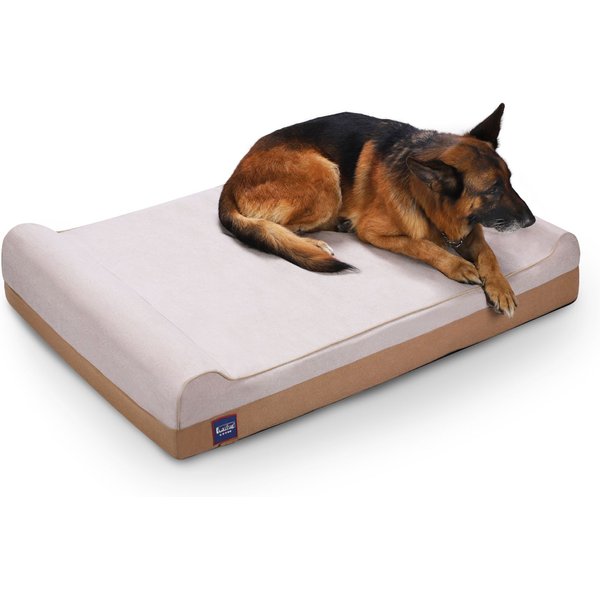FURHAVEN NAP Deluxe Memory Foam Pillow Dog Bed with Removable Cover ...