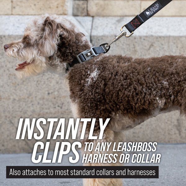LEASH BOSS Handle X-Long Dog Leash, Black, 30-ft - Chewy.com