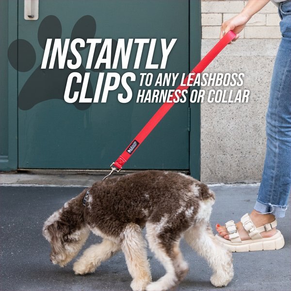 LEASH BOSS Padded Handle Short Dog Leash, Black, 24-in - Chewy.com