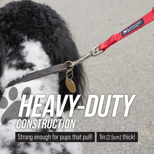 LEASH BOSS Padded Handle Short Dog Leash, Black, 24-in - Chewy.com