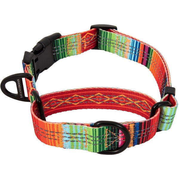 PETSAFE Nylon Martingale Dog Collar, Red, Medium: 10 to 16-in neck, 3/4 ...