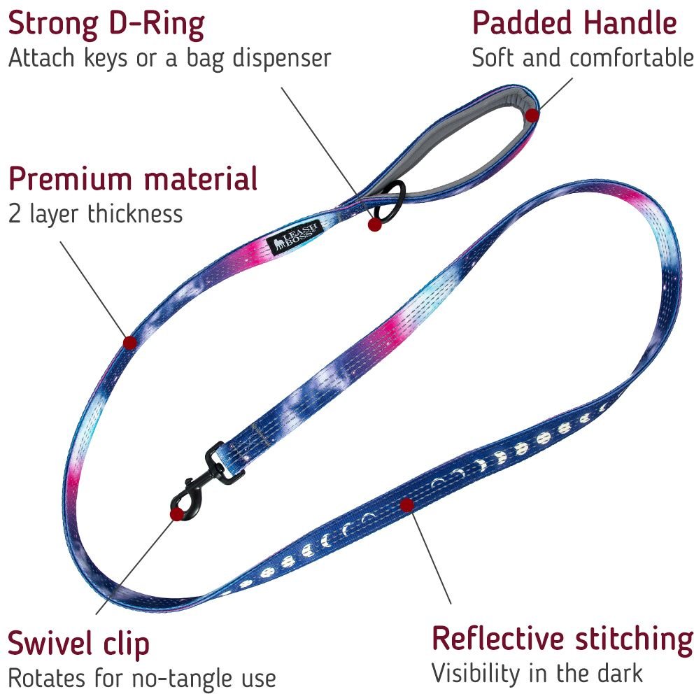 LEASH BOSS Patterned Standard Dog Leash, 6-ft long, Purple/Pink - Chewy.com