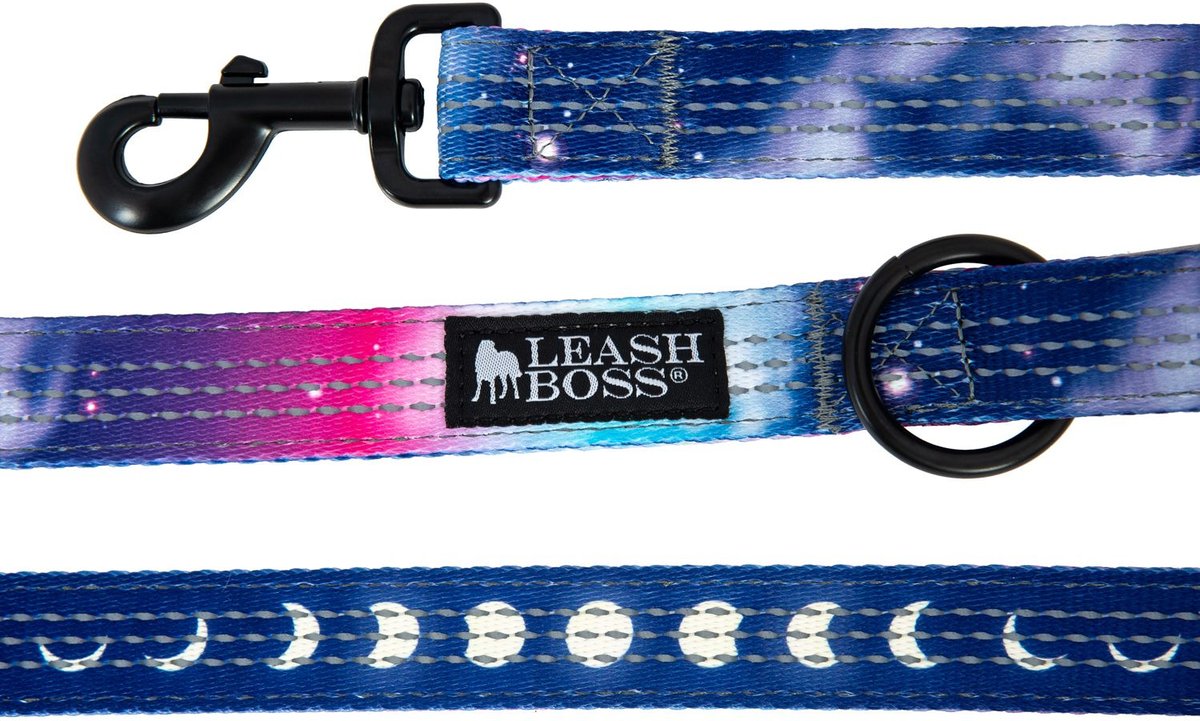 LEASH BOSS Patterned Standard Dog Leash, 6-ft long, Purple/Pink - Chewy.com