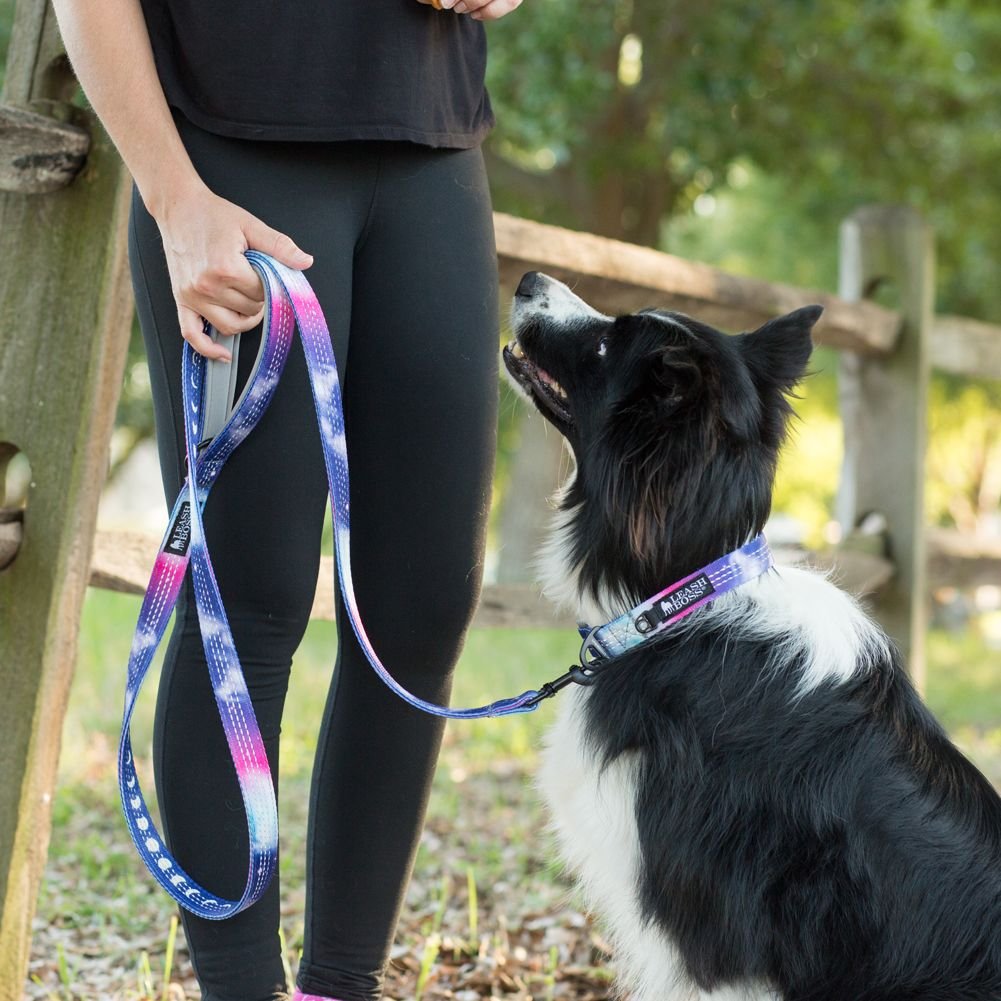 LEASH BOSS Patterned Standard Dog Leash, 6-ft long, Purple/Pink - Chewy.com