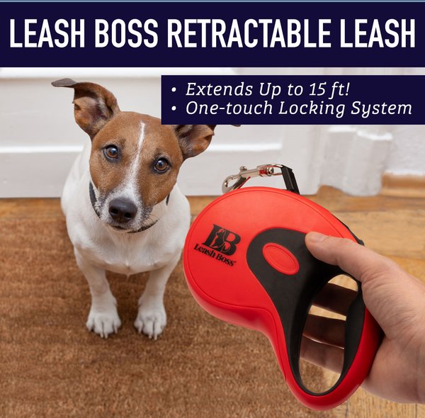 Out of Stock - LEASH BOSS Plastic Retractable Dog Leash, One Size: 16 ...