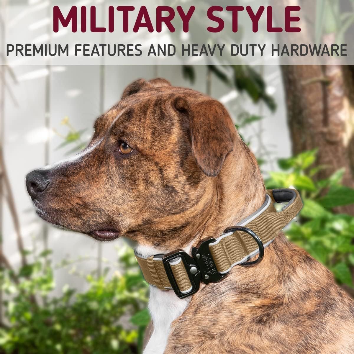 LEASH BOSS Solid Tactical Dog Collar, Tan, Medium - Chewy.com