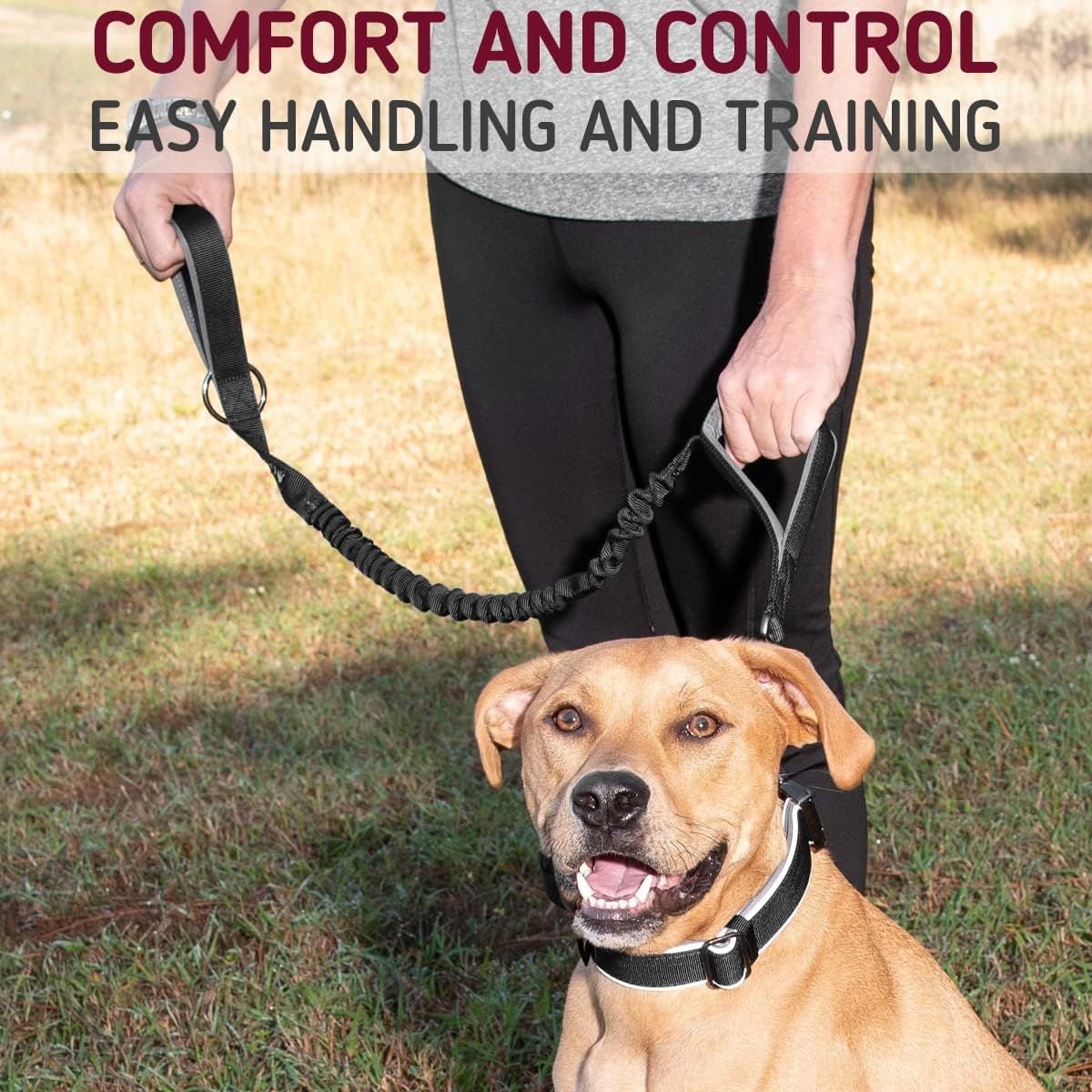 LEASH BOSS Tactical Two Handle Dog Leash, Black, 3-ft - Chewy.com
