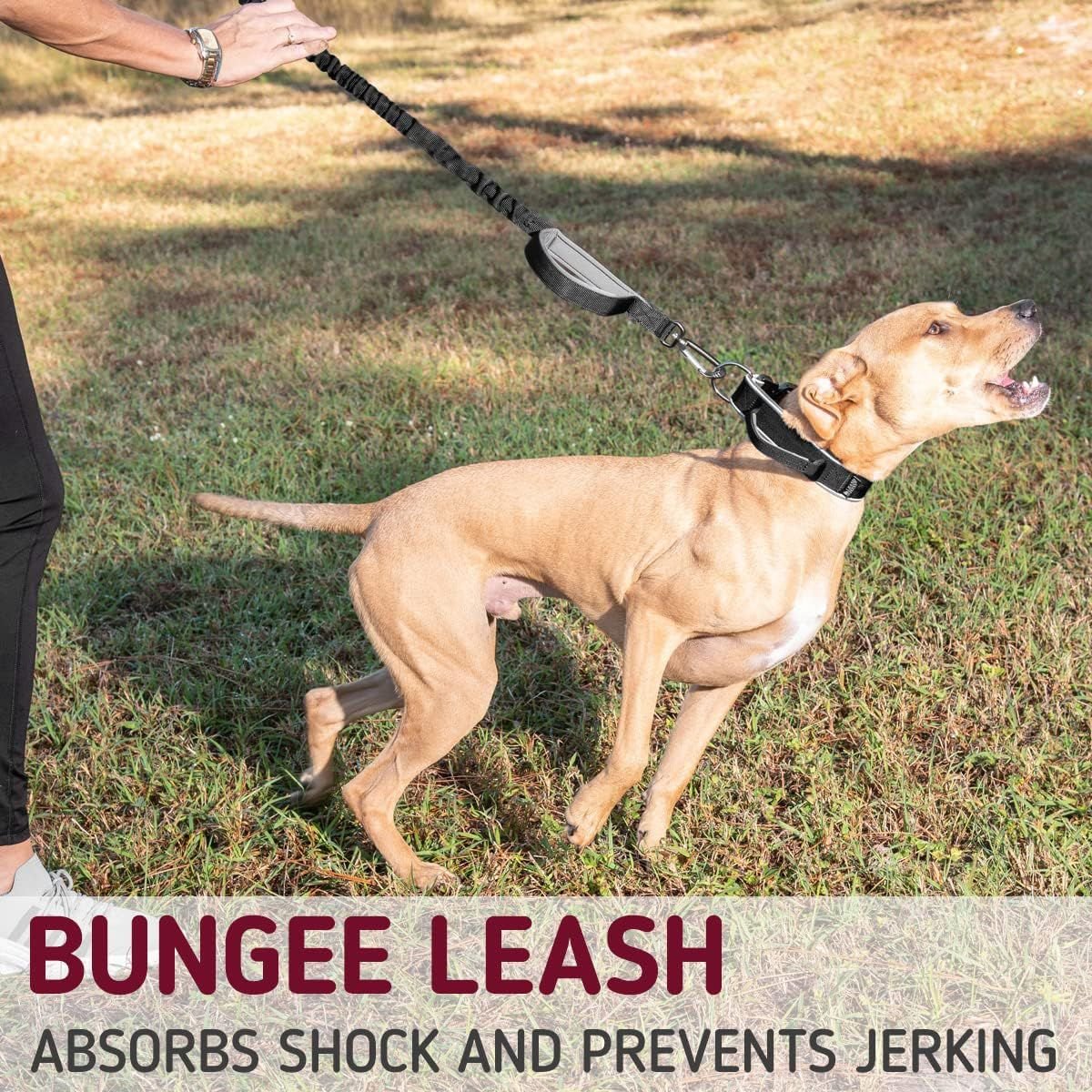 LEASH BOSS Tactical Two Handle Dog Leash, Black, 3-ft - Chewy.com