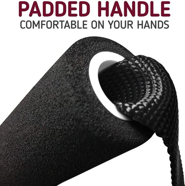 LEASH BOSS Traffic Handle Short Dog Leash, 12-in - Chewy.com