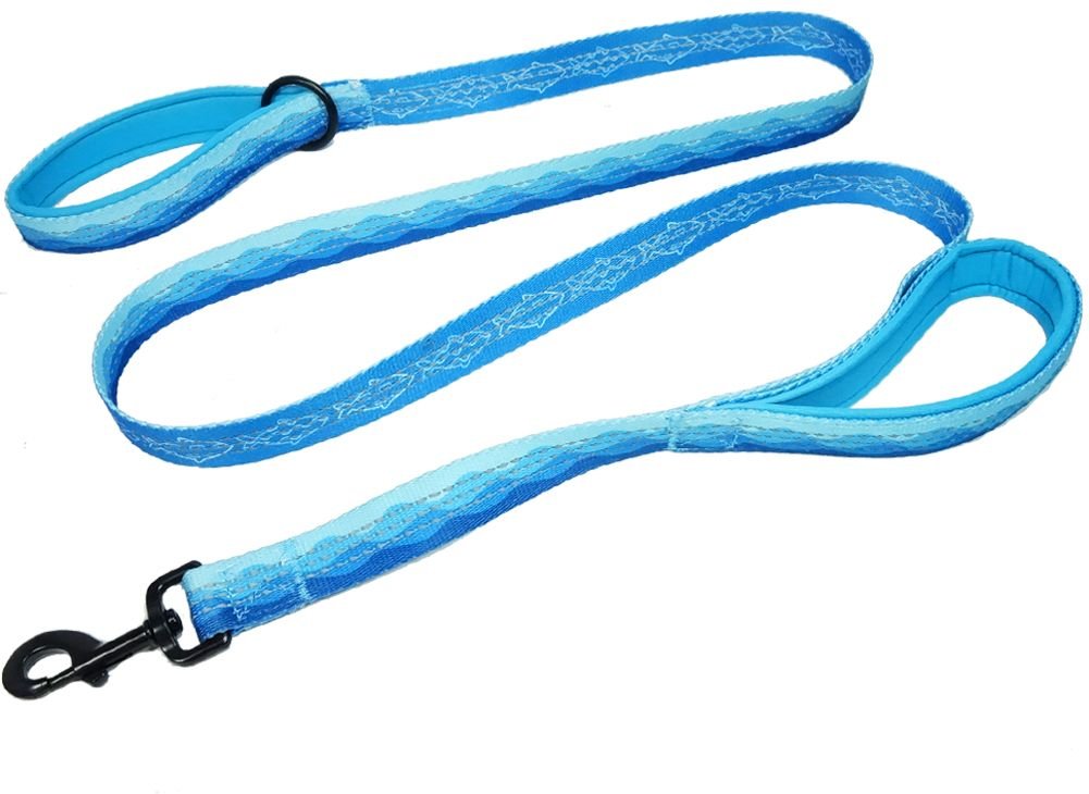 LEASH BOSS Two Handle Dog Leash, 6-ft long, Blue - Chewy.com