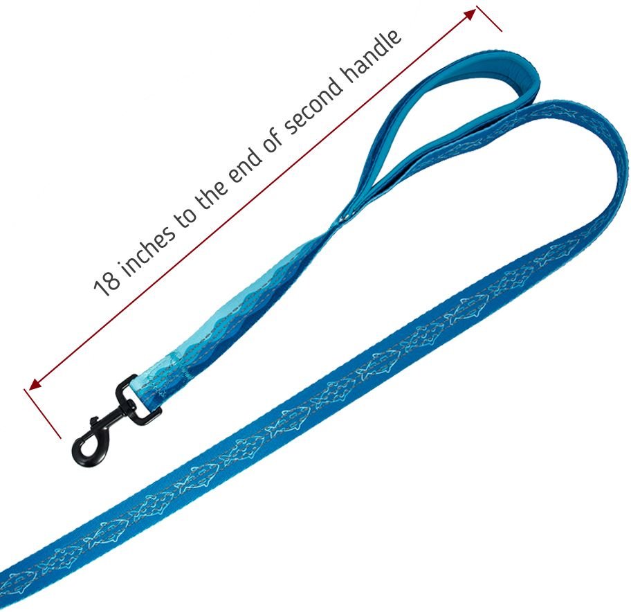 LEASH BOSS Two Handle Dog Leash, 6-ft long, Blue - Chewy.com