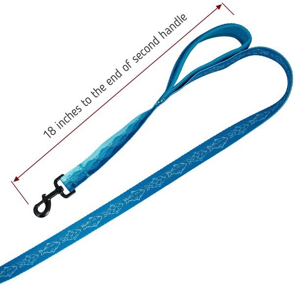 LEASH BOSS Two Handle Dog Leash, 6-ft long, Blue - Chewy.com