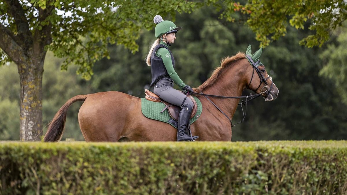 LEMIEUX Suede Close Contact Square Saddle Pads, Navy, Medium - Chewy.com
