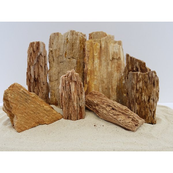 LIFEGARD Burma Petrified Stone 25 Gallon Kit - Chewy.com