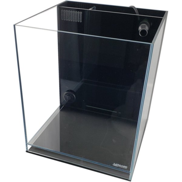 Out of Stock - LIFEGARD Crystal Elevated Aquarium, 5-gal - Chewy.com