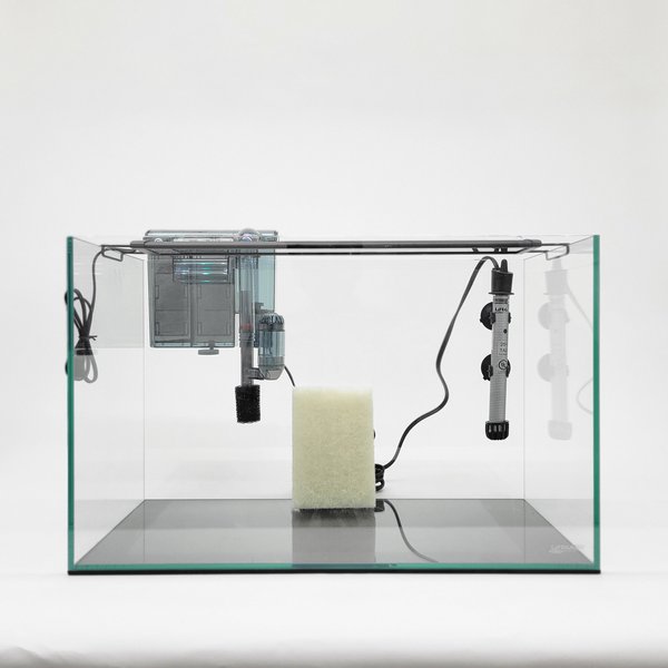 LIFEGARD Clear Glass Rimless Aquarium with HOF-2 Hang On Filter, 5-mm ...