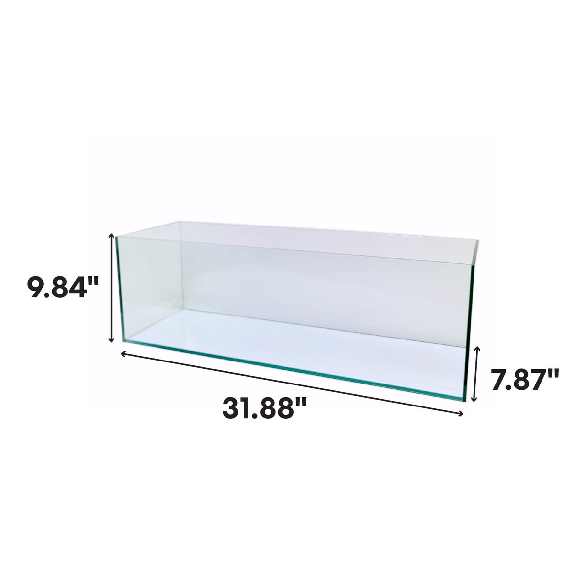 LIFEGARD Long Clear Glass Bookshelf Aquarium, 5-mm, 11-gal - Chewy.com