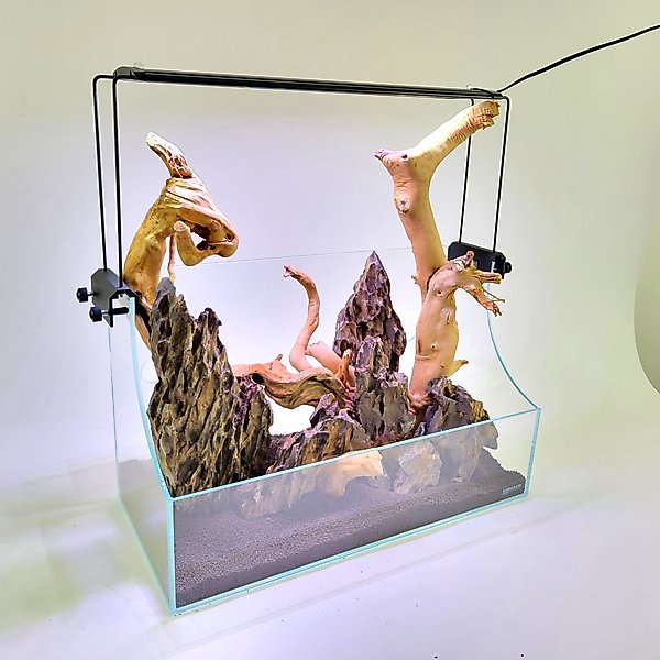 Out of Stock - LIFEGARD Clear Glass Bookshelf Aquarium with HOF-2 ...