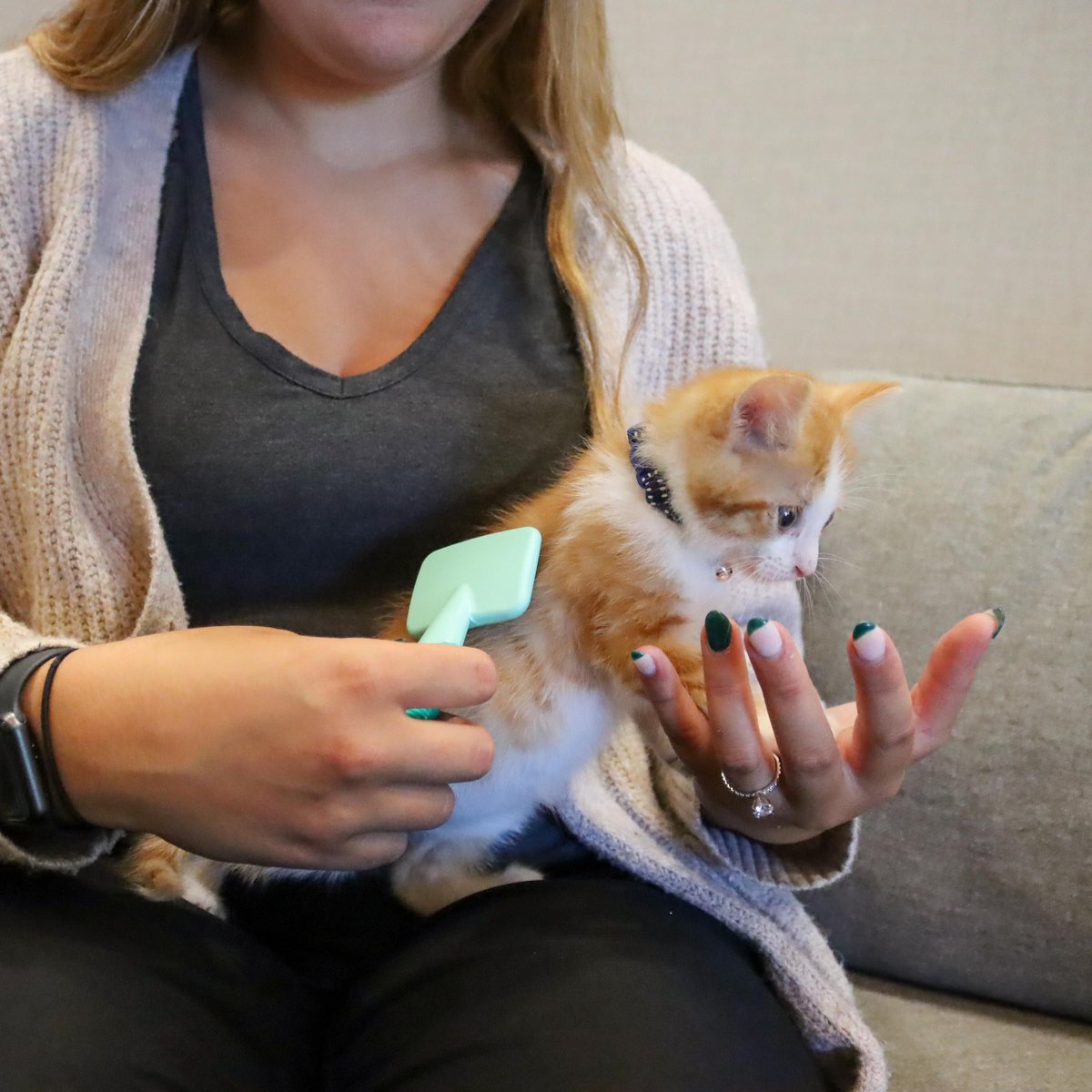 LI'L PALS Coated Tips Cat Slicker Brush - Chewy.com