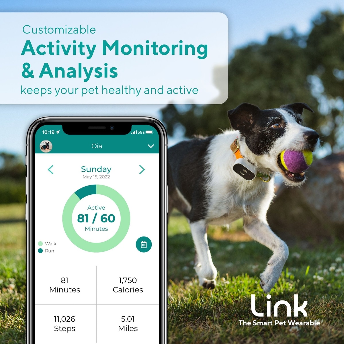 LINK My Pet Dog GPS & Activity Tracker with Training Tools & Wrap, Gray ...
