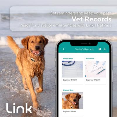 LINK My Pet Dog GPS & Activity Tracker with Training Tools & Wrap, Gray ...