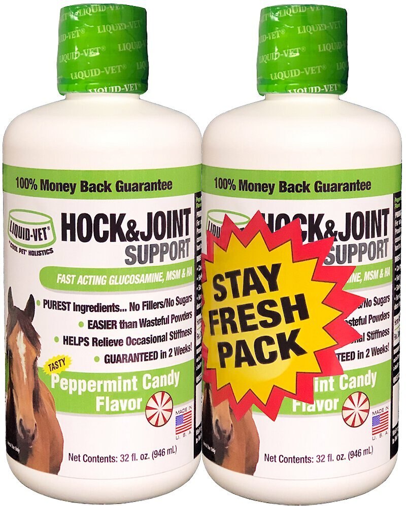 LIQUID-VET Hock & Joint Support Peppermint Flavor Liquid Horse ...