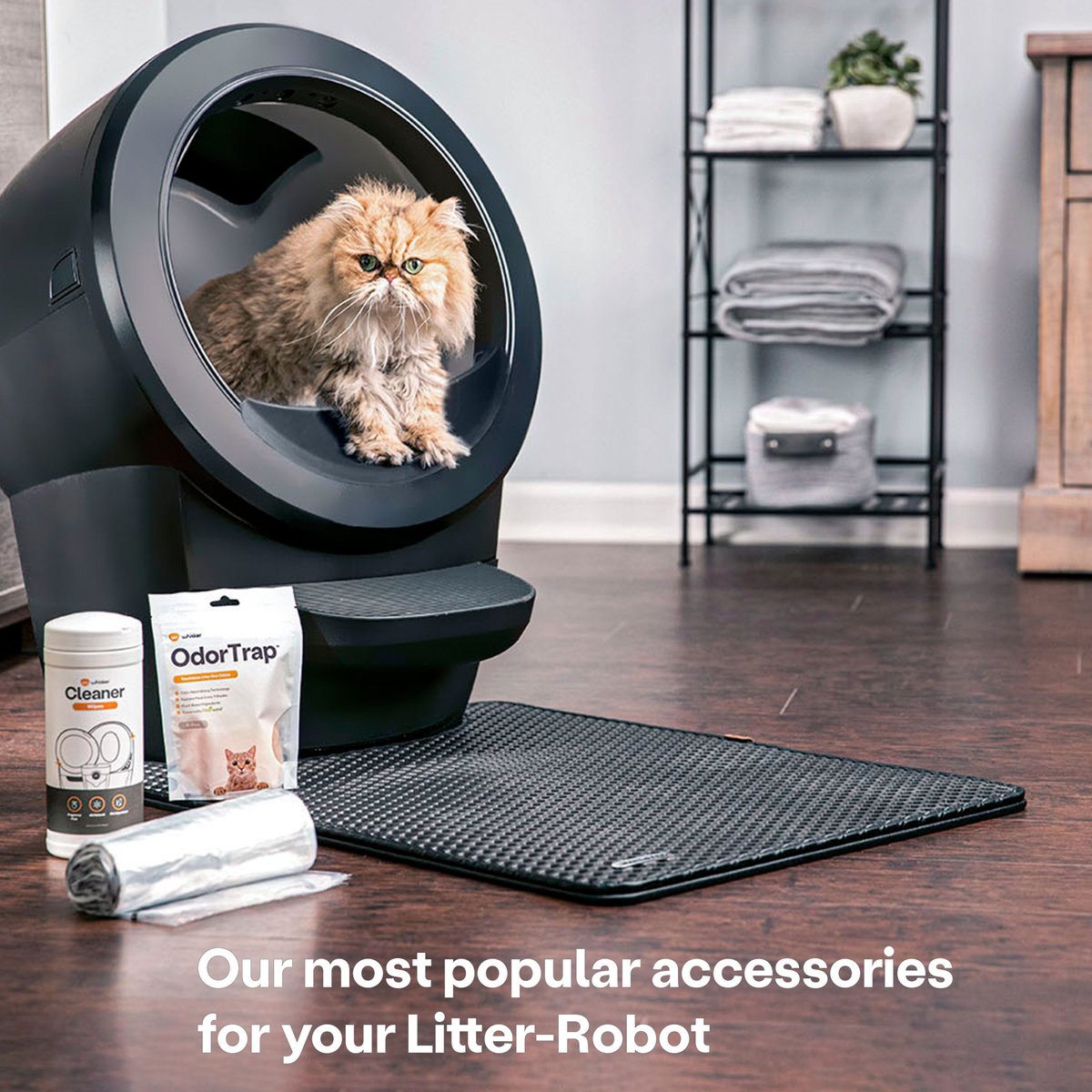 WHISKER Litter-Robot 4 with Step & Core Accessories Kit Cat Litter Box ...