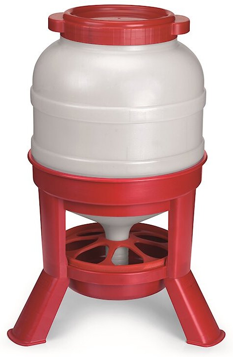 Chicken Feeders & Waterers | Chewy