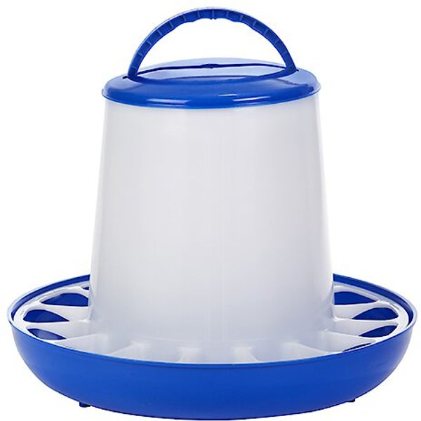 LITTLE GIANT Poultry Feeder with Legs, 4-lb - Chewy.com