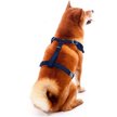 LITTLEARTH NFL Velvet Dog Harness, Chicago Bears, Small - Chewy.com